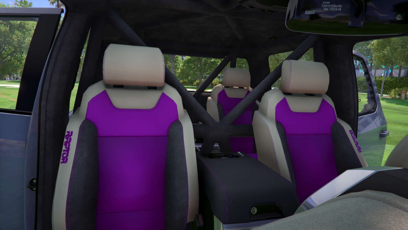 2017 Ford F-150 Raptor SuperCrew Widebody (Unmarked Extras) – AIO Cars ...